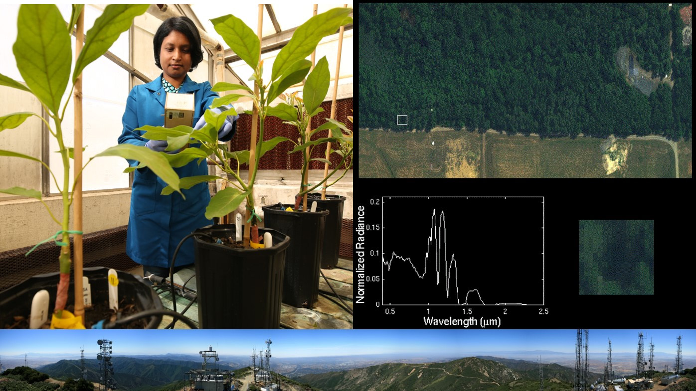 UC Riverside Joins UC Irvine, UC San Diego in Multidisciplinary ...